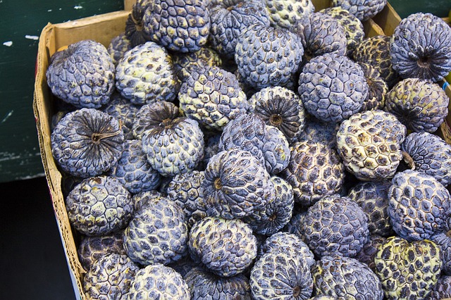 Growing Sugar Apple in Hot, Dry Climates - Garden of Luma