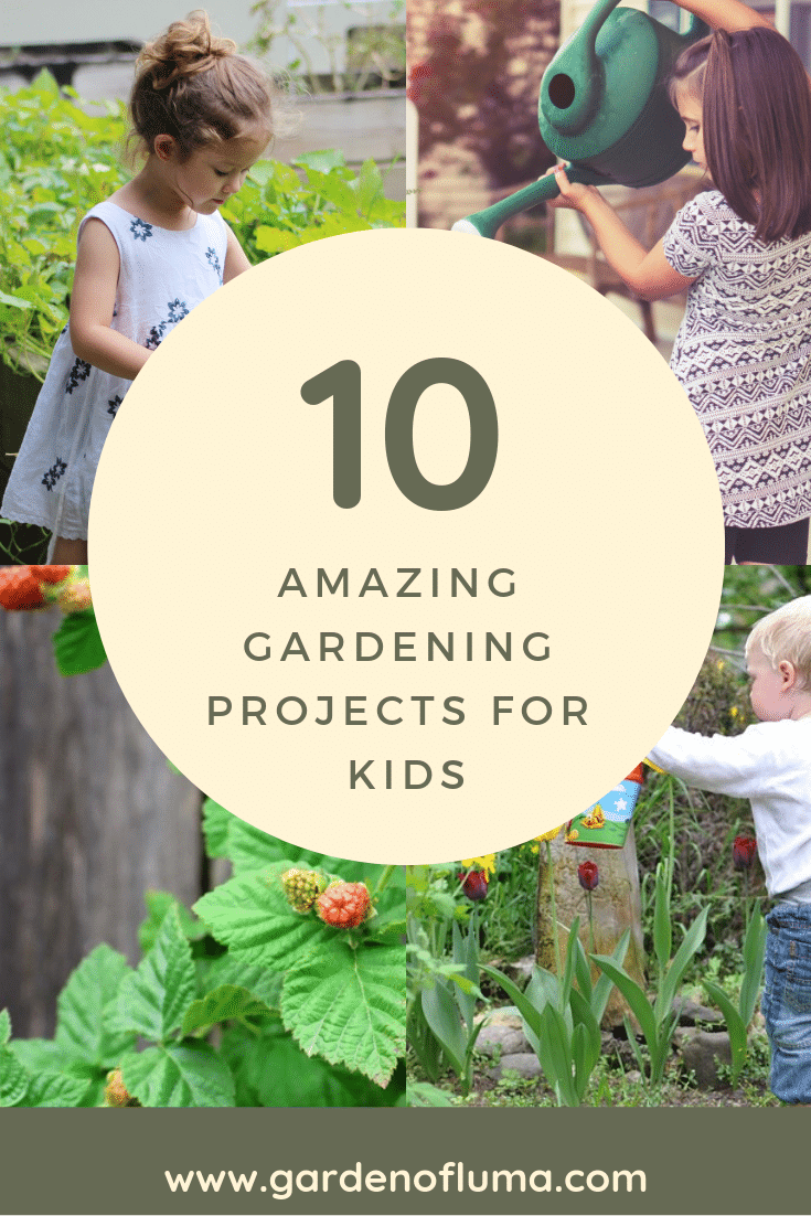 10 Amazing Gardening Projects for Kids to Try Today - Garden of Luma