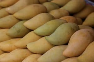 Mango Trees in Containers: 15 Best Mango Varieties for Small Spaces ...